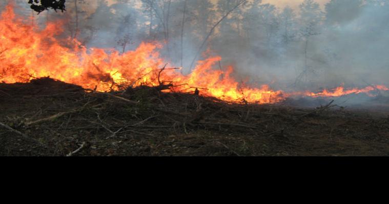 Alabama Governor issues statewide burn ban due to wildfires