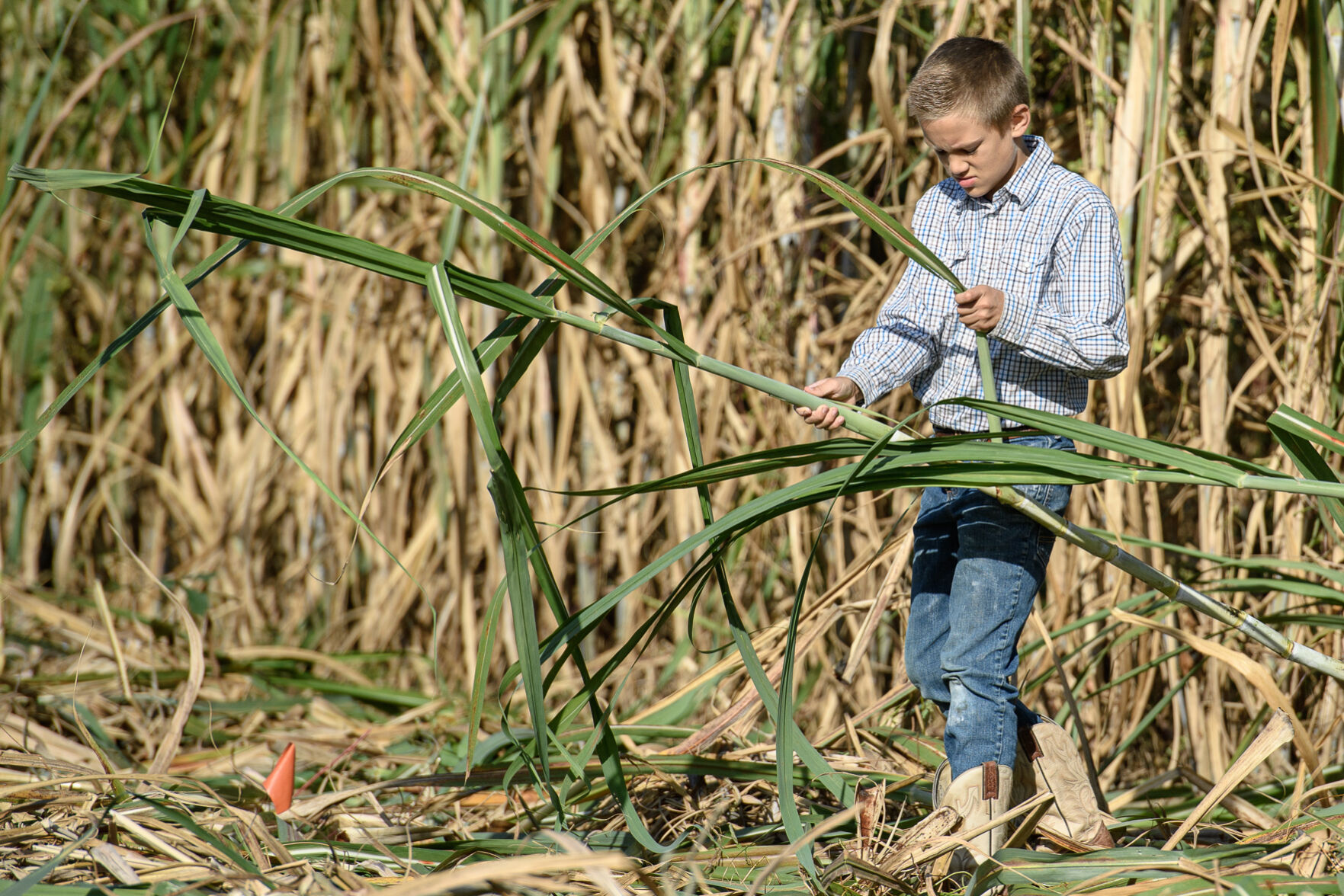 Loachapoka holds annual Syrup Sopping Day