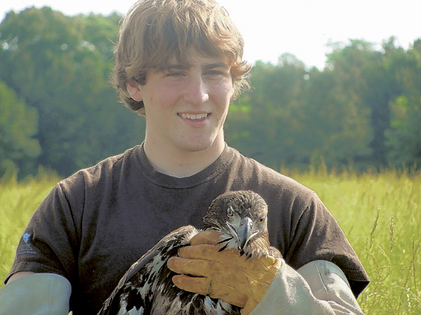 Raptor Center successfully releases rehabilitated eagle