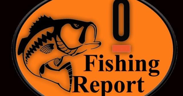 O’Colly Fishing Report | News | ocolly.com