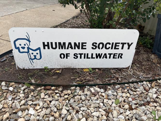 Animal Abundance: Stillwater's animal shelter is a city project | News ...