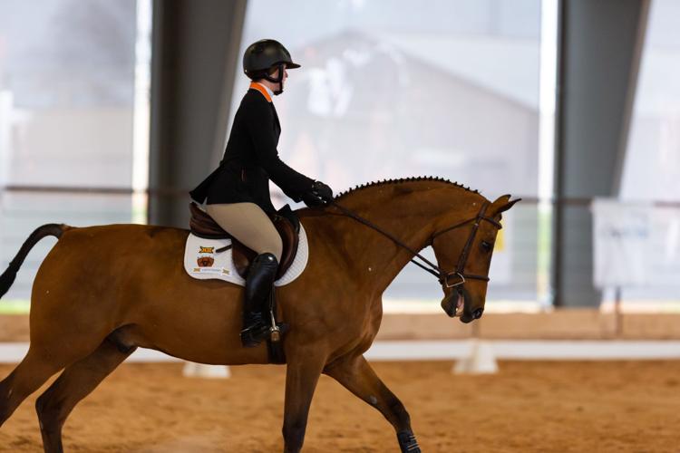 PHOTOS: Big 12 Equestrian Championship | Gallery | ocolly.com