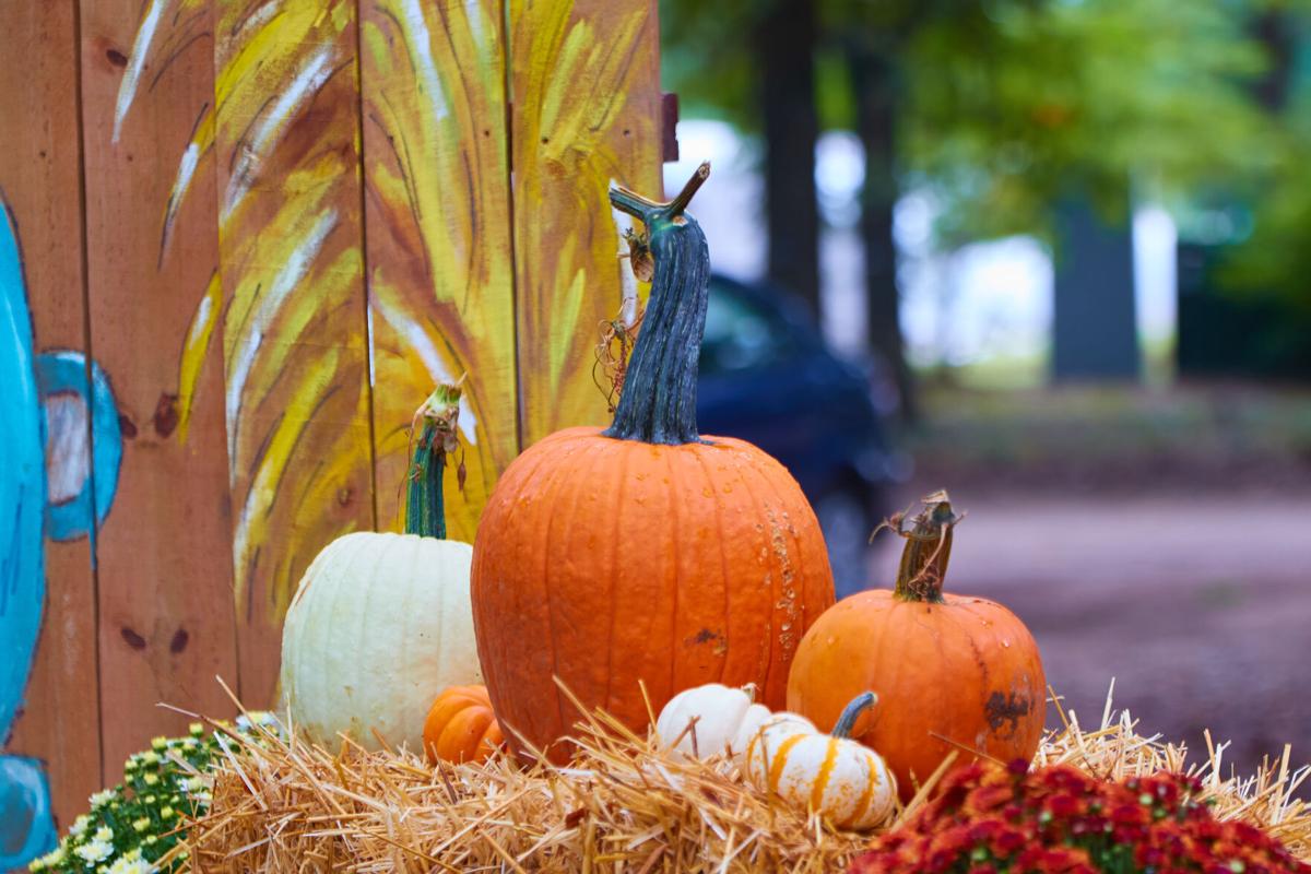 Osu Botanical Gardens Stillwater | Fasci Garden