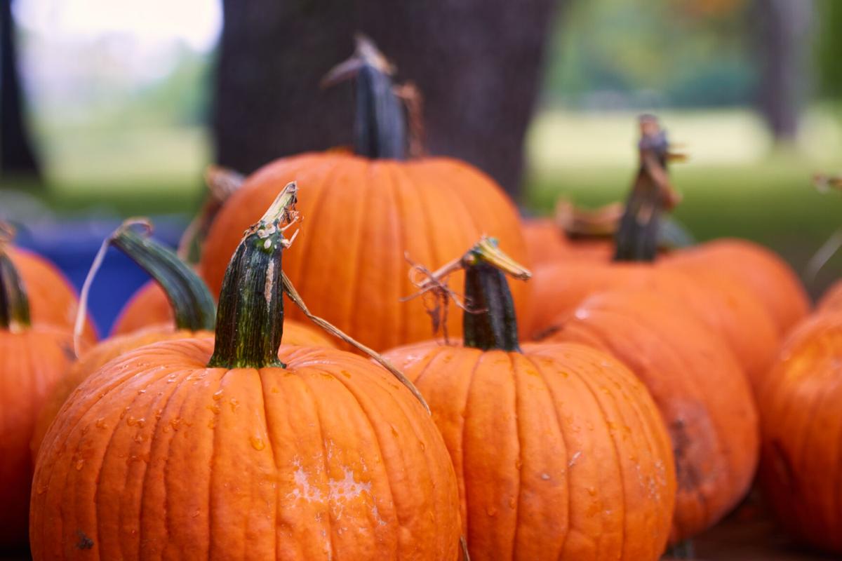 Osu Botanical Gardens Stillwater | Fasci Garden