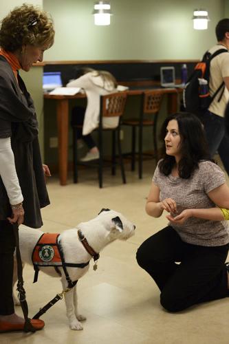 Photos: Meet some of the Pete's Pet Posse dogs | Gallery | ocolly.com
