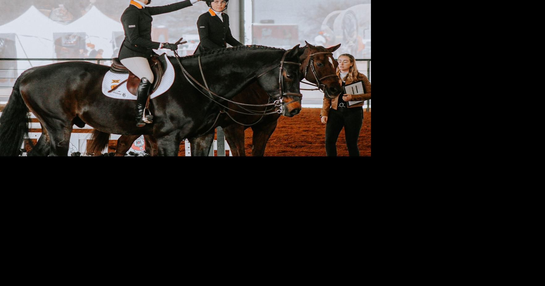 Equestrian | Multimedia | ocolly.com
