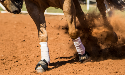 OSU equestrian team wraps weekend in South Dakota | Sports | ocolly.com