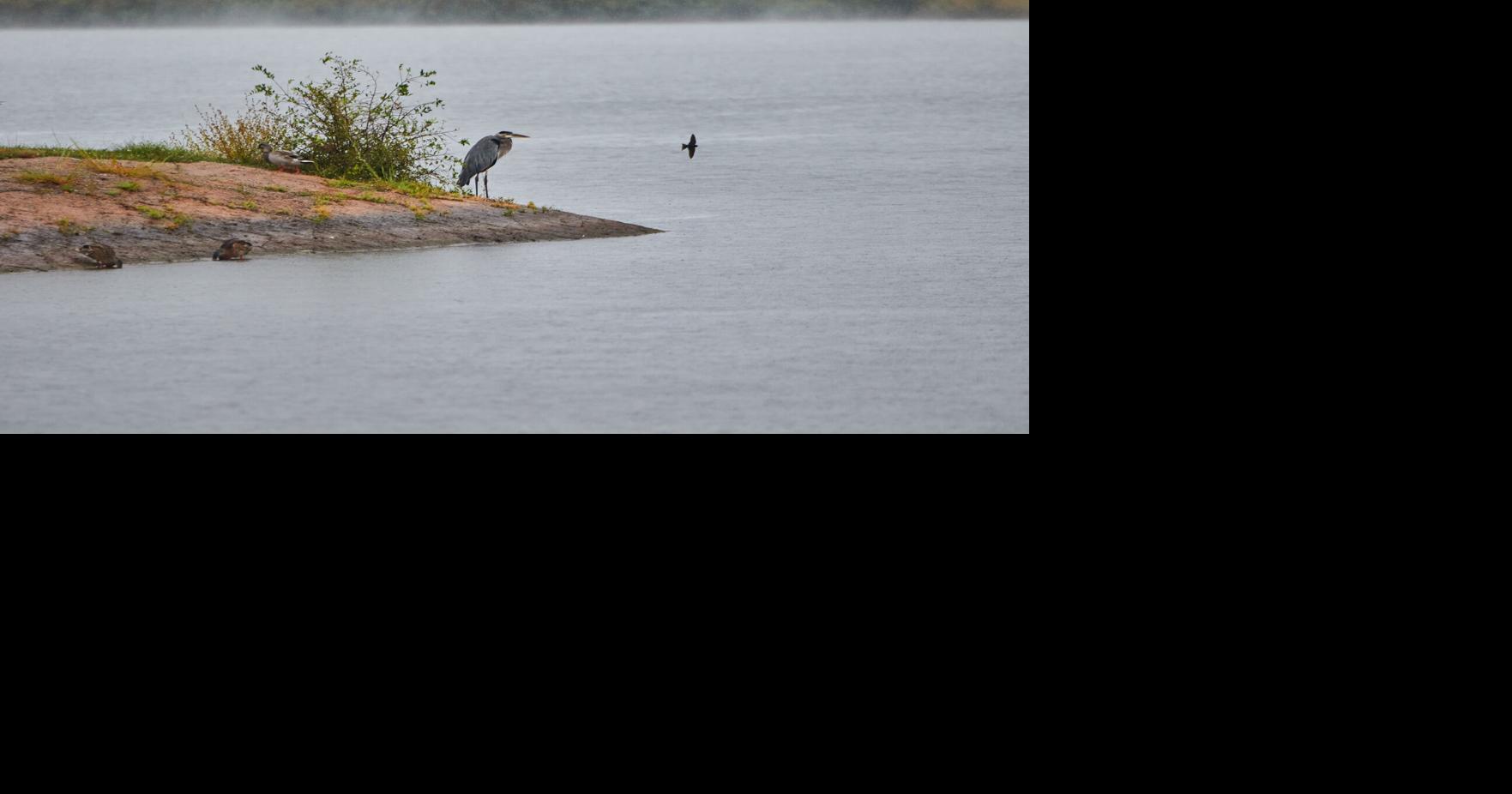 Body found at Boomer Lake Park | News | ocolly.com