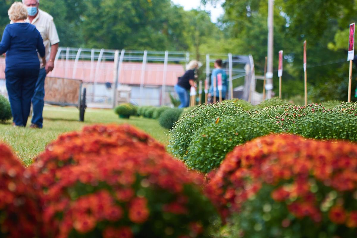 Osu Botanical Gardens Stillwater | Fasci Garden