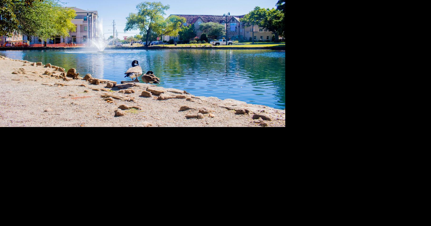 Best study spots on campus | Entertainment | ocolly.com