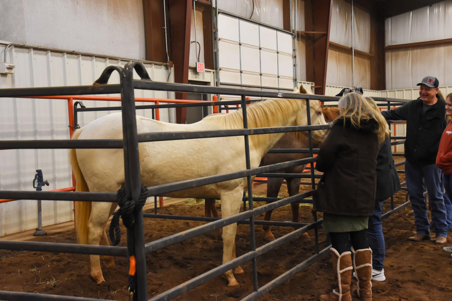 OSU horse sale raises $72,500 | Entertainment | ocolly.com