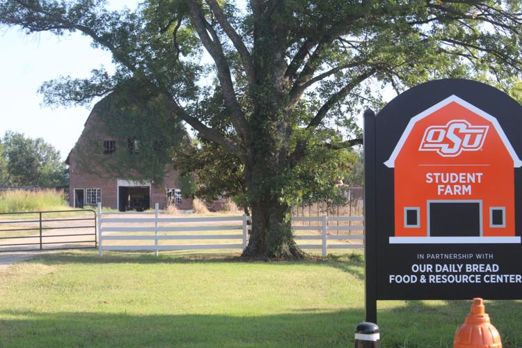 Our Daily Bread, Student Farm working to provide fresh produce | News ...