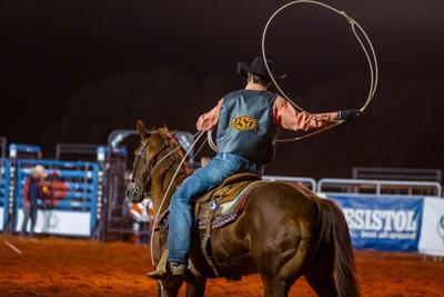 Cowboy Stampede back in Stillwater | Entertainment | ocolly.com