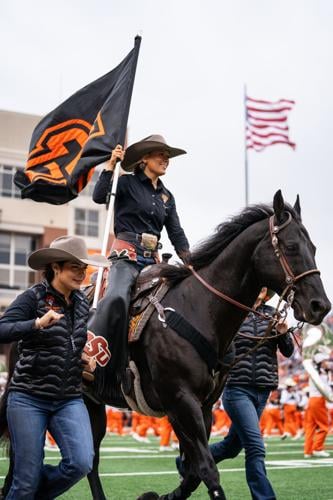 'More than a mascot': Inside the lives of Bullet’s dedicated caretakers ...