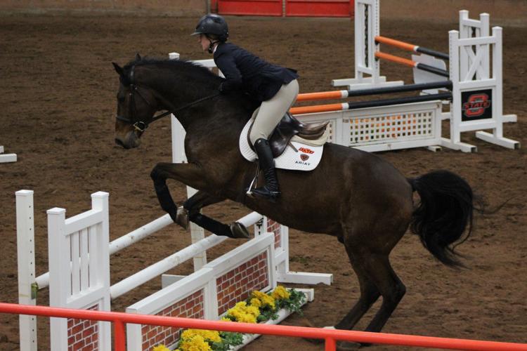 OSU equestrian braces for SMU road challenge | Sports | ocolly.com