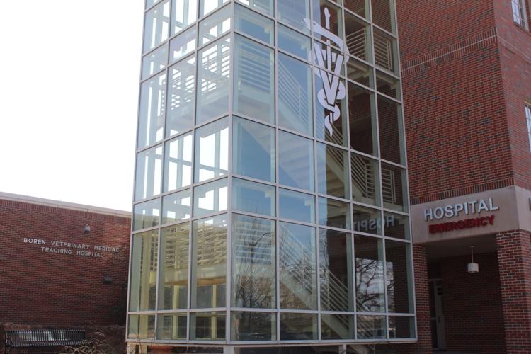 OSU's veterinary hospital in search of new faculty | News | ocolly.com