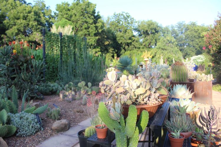 OSU Botanic Garden hosts GardenFest | News | ocolly.com