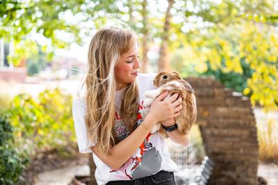 Pacey the Poke: OSU's pint-sized celebrity | Features | ocolly.com