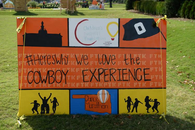 Homecoming spirit shown off in Library Lawn sign contest | Multimedia ...