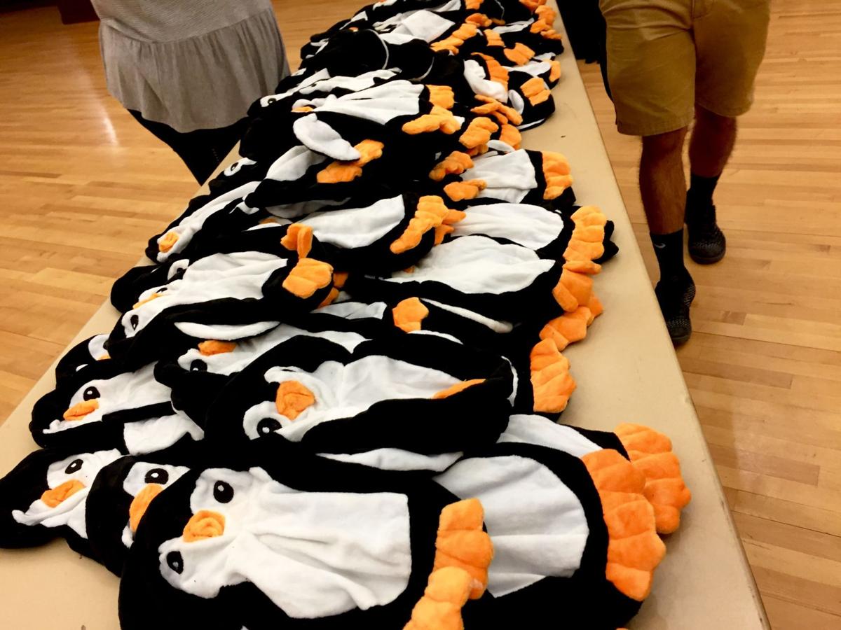 Photo Gallery: Pack a Penguin | Multimedia | ocolly.com