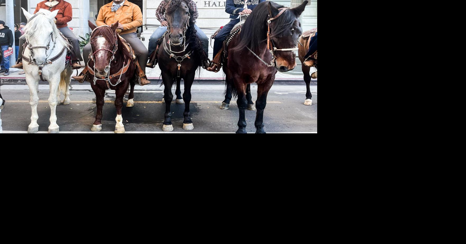 US-NEWS-LA-RODEO-BAN-LA | | ocolly.com