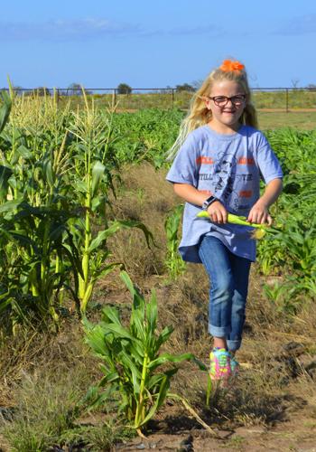 Hadley and Mr. Leo: A friendship rises from struggle | News | ocolly.com
