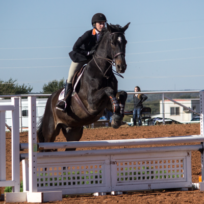 Cowgirl equestrian team falls in NCEA quarterfinals | Sports | ocolly.com