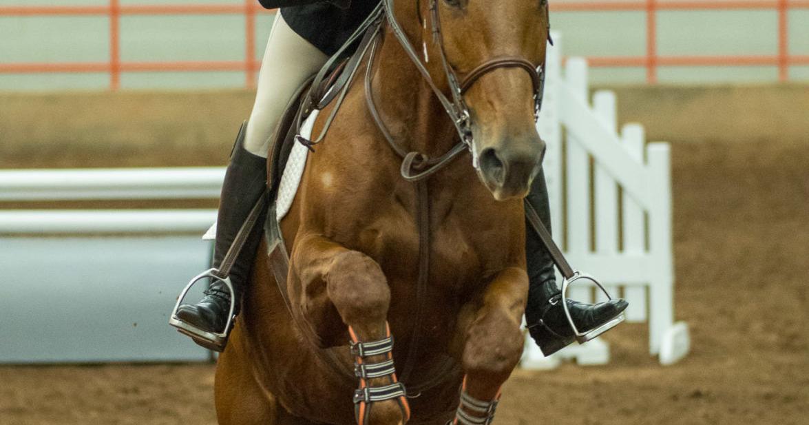 OSU equestrian team drops championship match in equitation over fences ...