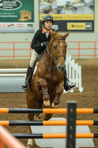 OSU equestrian team drops championship match in equitation over fences ...