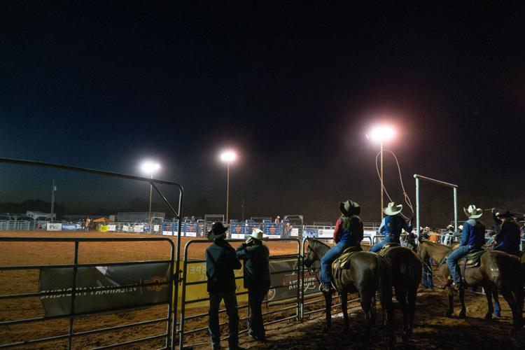 Gallery: Cowboy Stampede 2024 | | ocolly.com