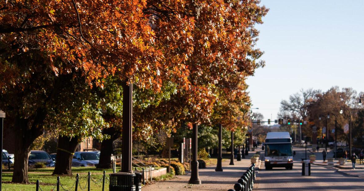 Motorgate: Motor accident opens gates on major campus streets | News ...