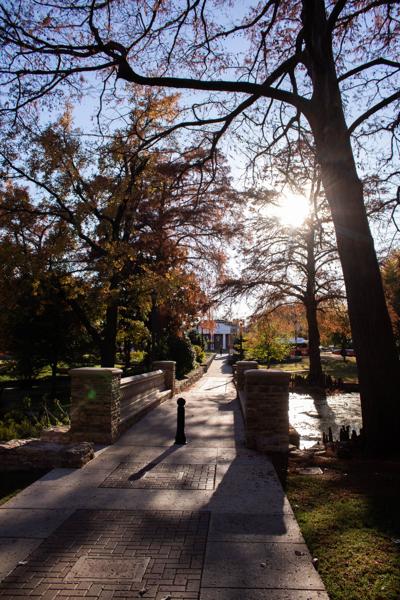 Saying goodbye to the sunlight | Entertainment | ocolly.com