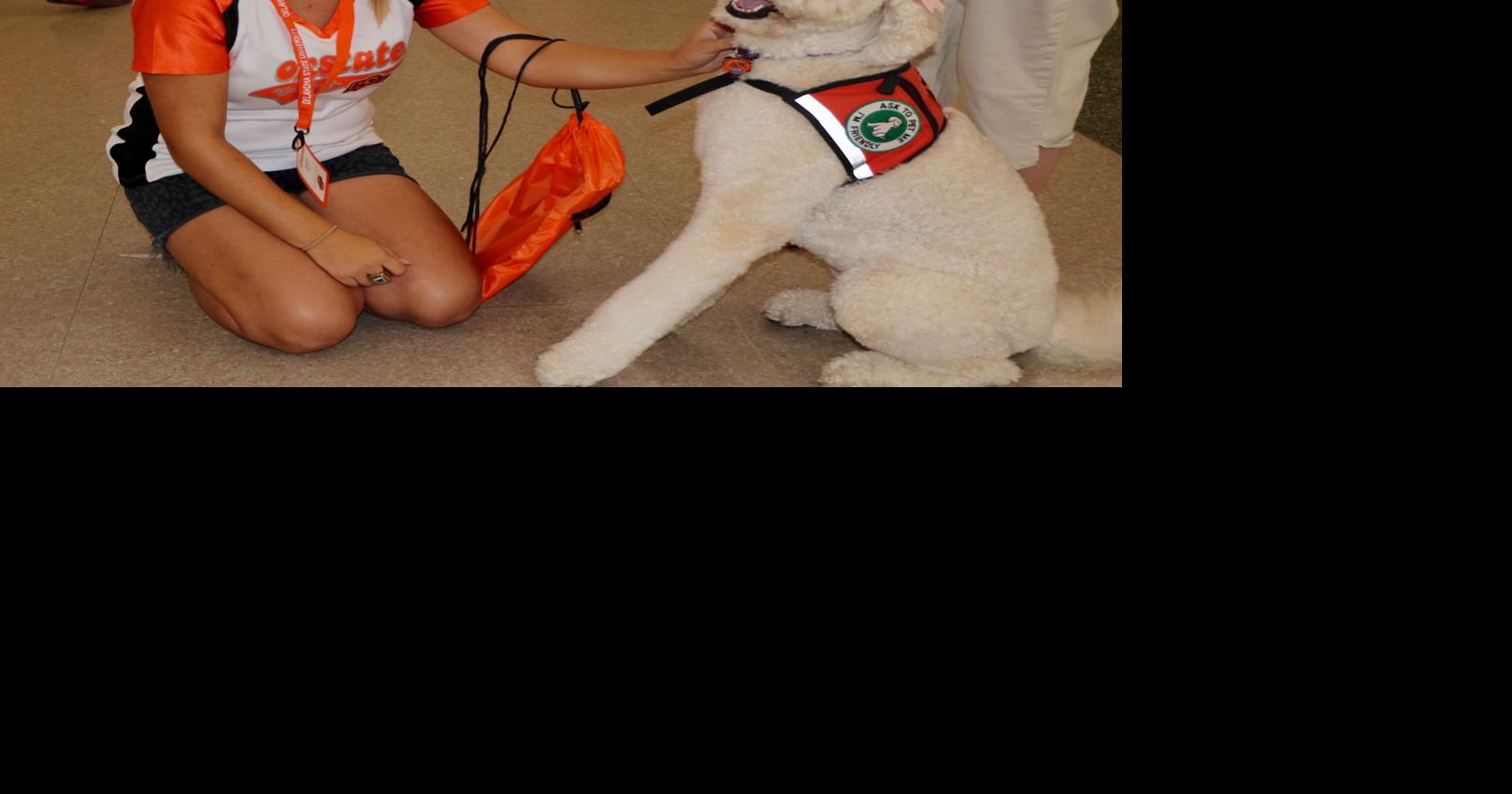 Incoming OSU students find comfort from therapy dogs at orientation ...