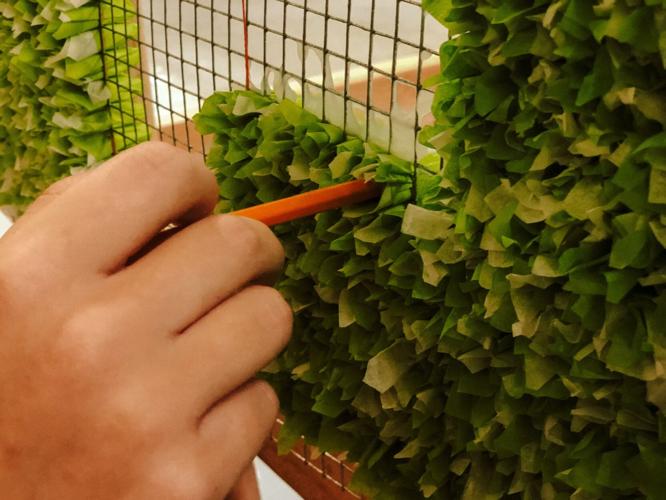 Pomping palooza: Sororities and fraternities are getting ready for ...