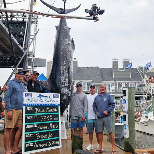 White Marlin Open day 2: Billfish enter competition | Premium Content ...