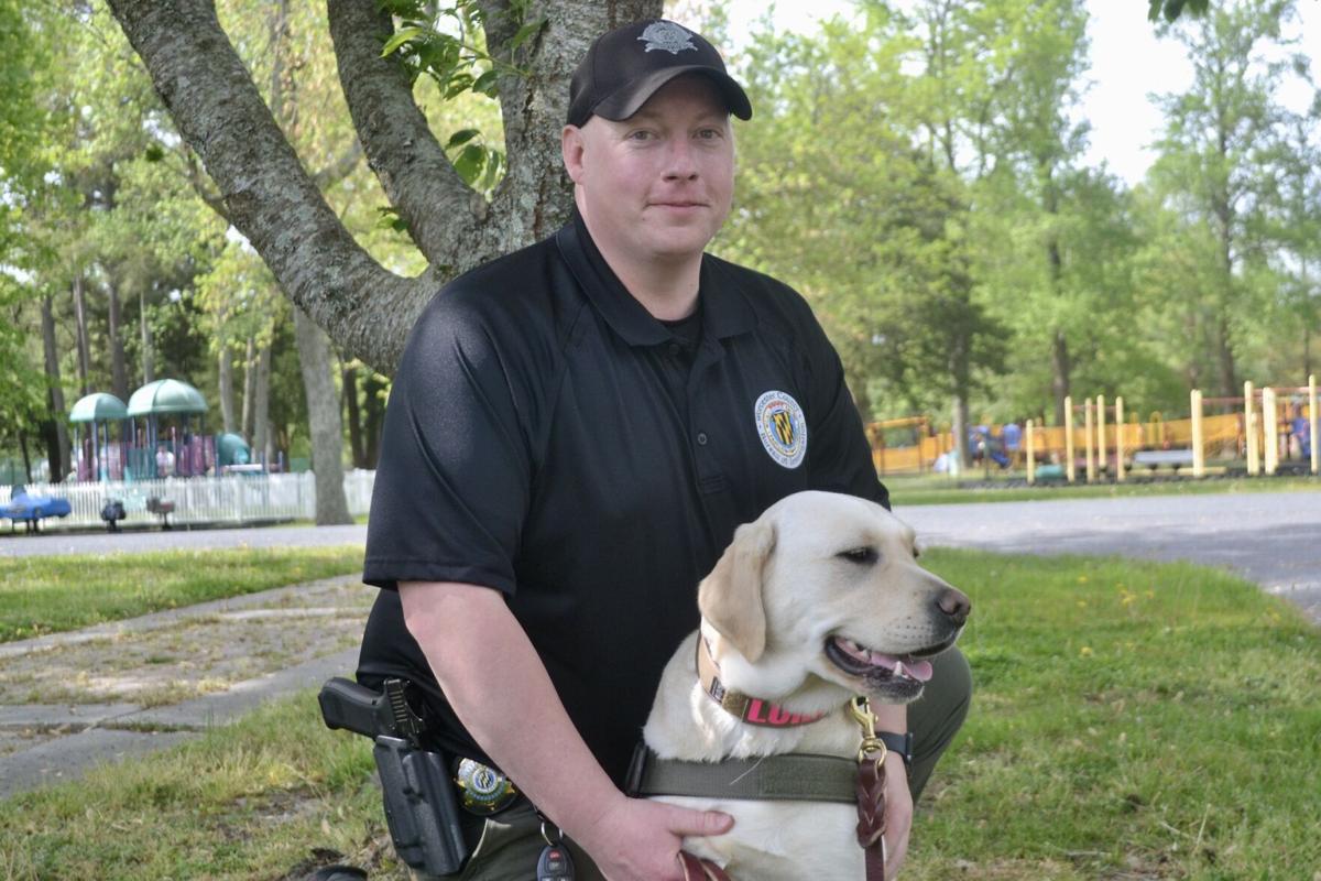 crazy dogs worcester