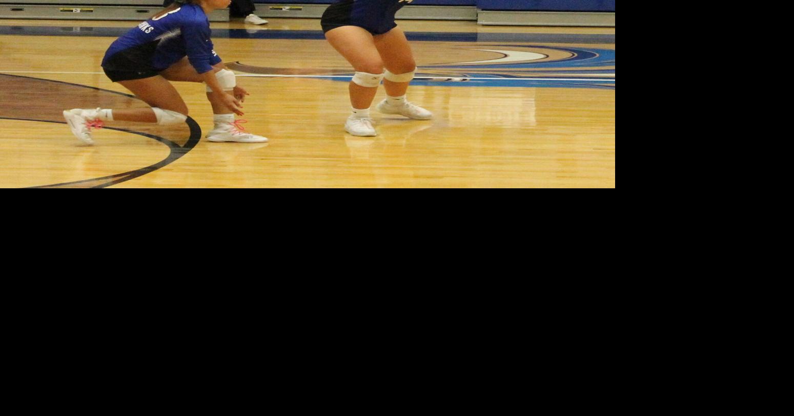 Decatur volleyball team successful | Sports | octodaydispatch.com