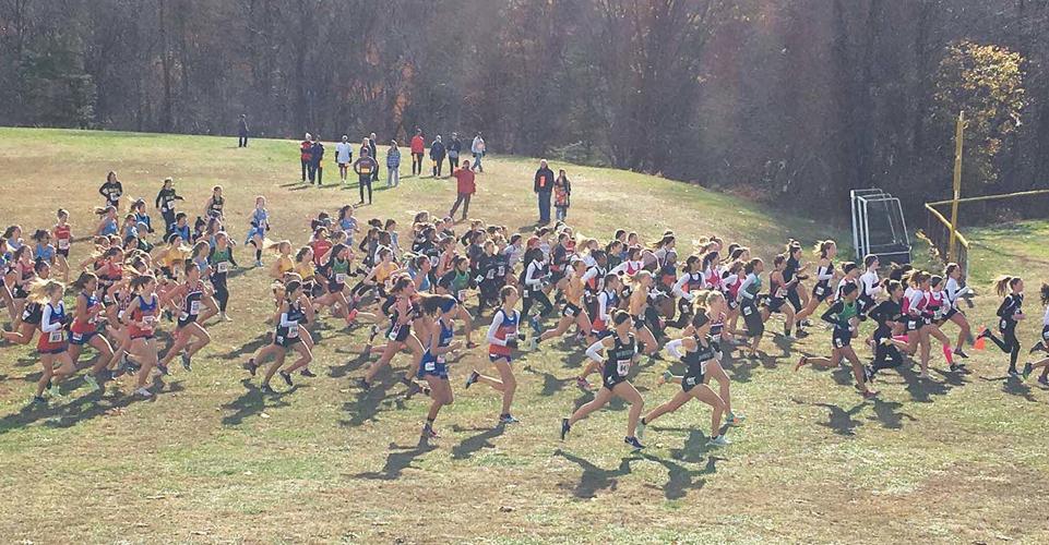 Mergott competes against state’s top runners in 3A meet | Sports ...