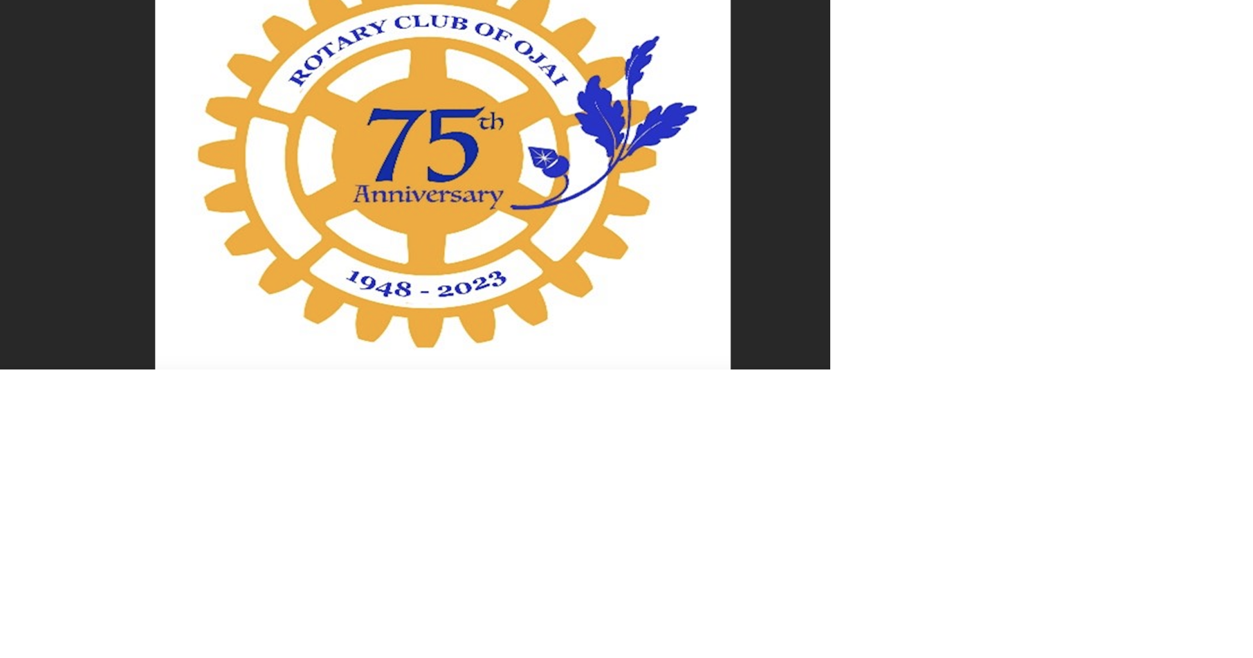 Rotary Club invites grant applications supporting youth | News ...