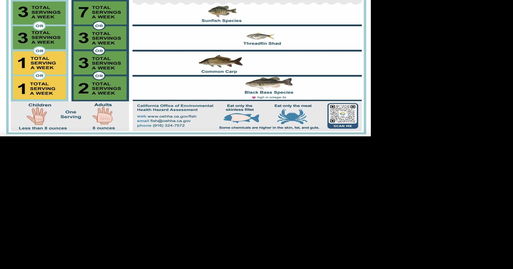 Lake Casitas fish ‘safe-eating’ advisory issued for women and children ...