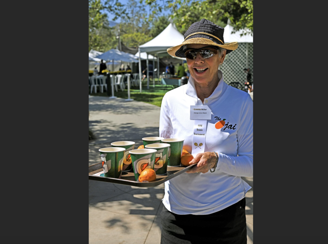 The Ojai Tea Tent steeped in tradition | Culture | ojaivalleynews.com