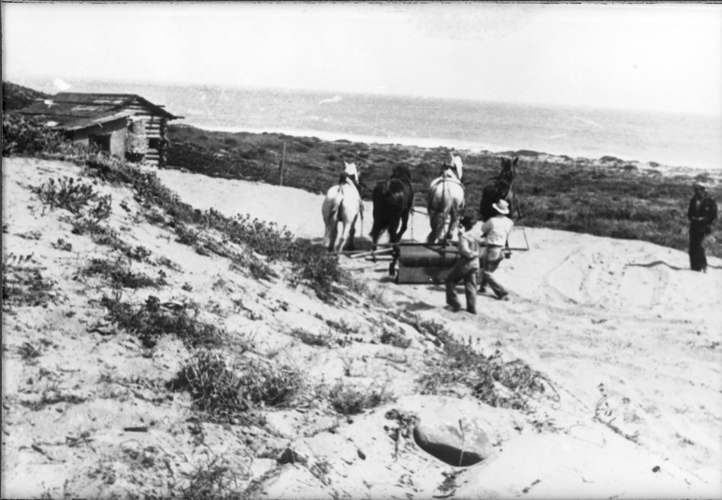 ‘Rincon Point’ exploration at Ojai Library Jan. 14 | Culture ...