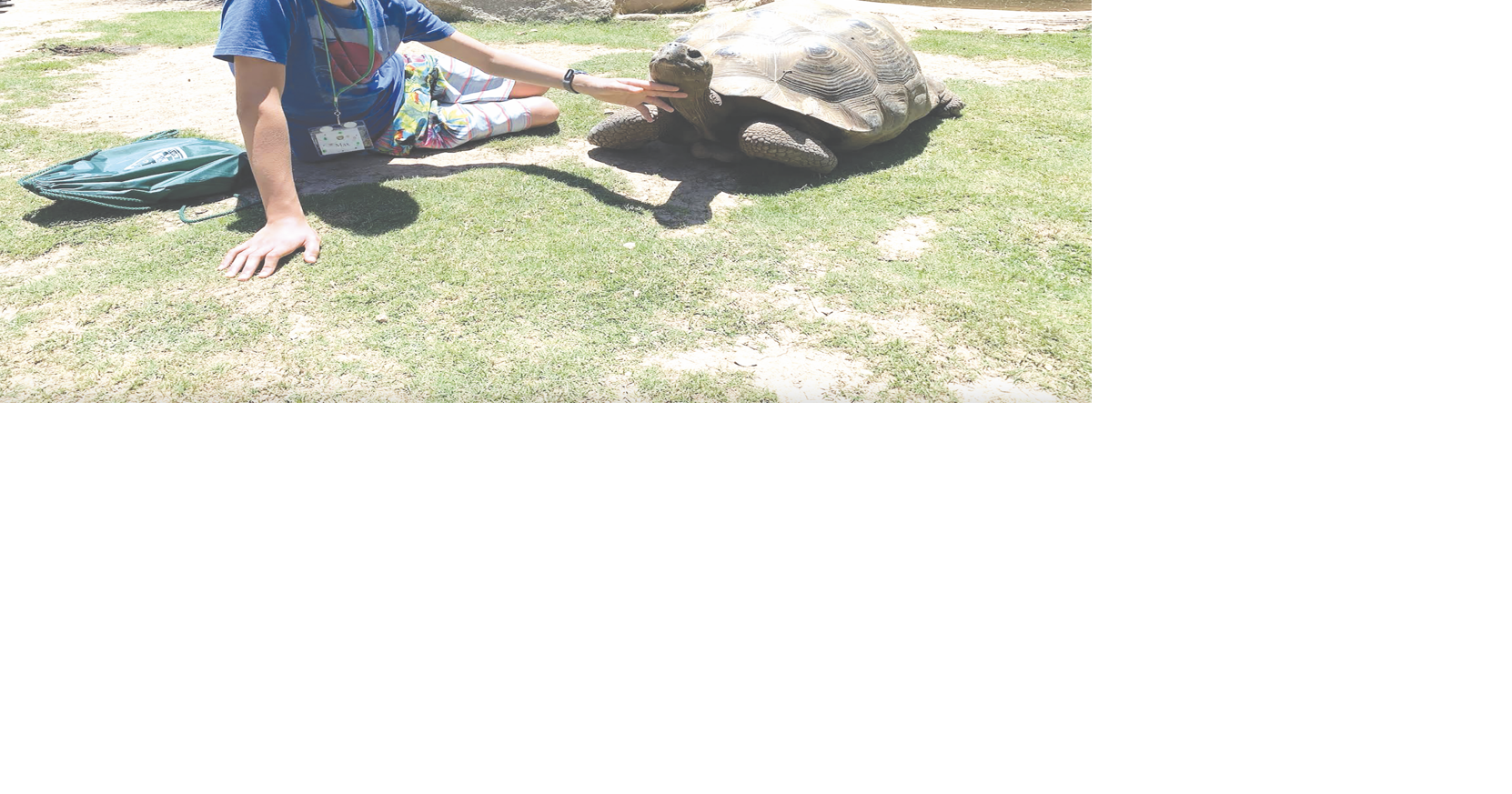 A look inside Turtle Camp | Culture | ojaivalleynews.com