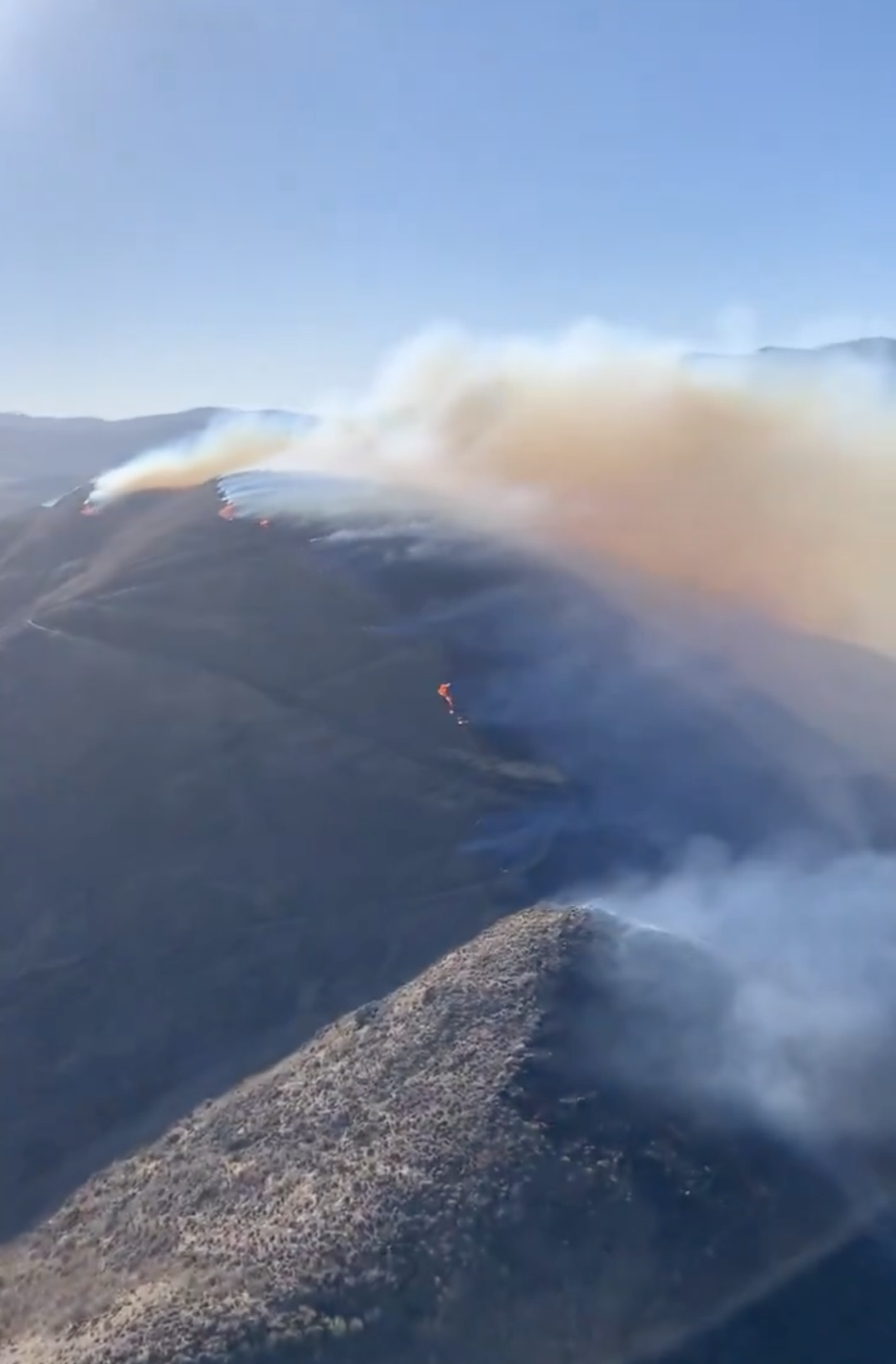 LAGUNA FIRE: Forward progress stopped, evacuations downgraded, 50 acres ...