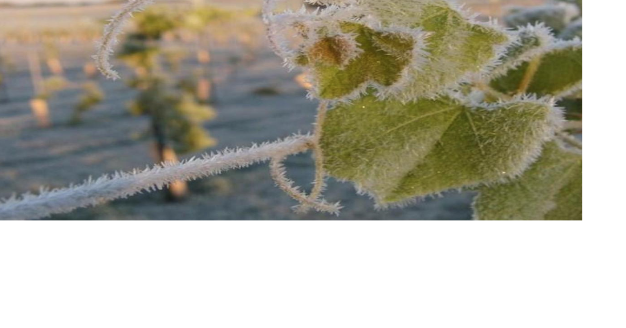 Freeze watch hoisted for Ojai | News | ojaivalleynews.com