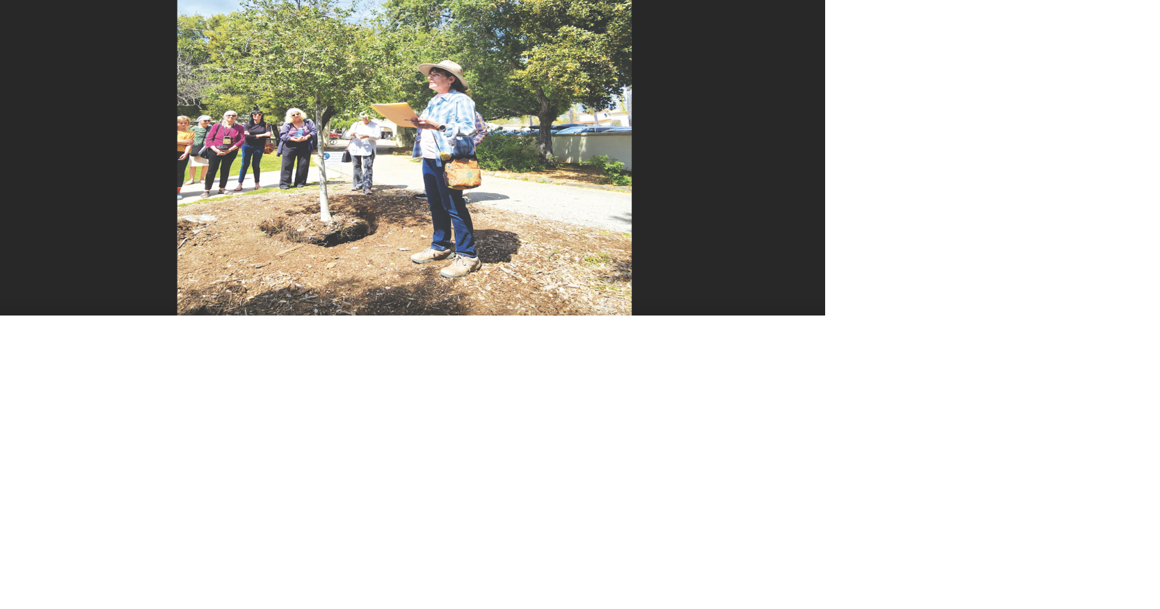 Ojai matriarch Ellen Hall remembered | News | ojaivalleynews.com