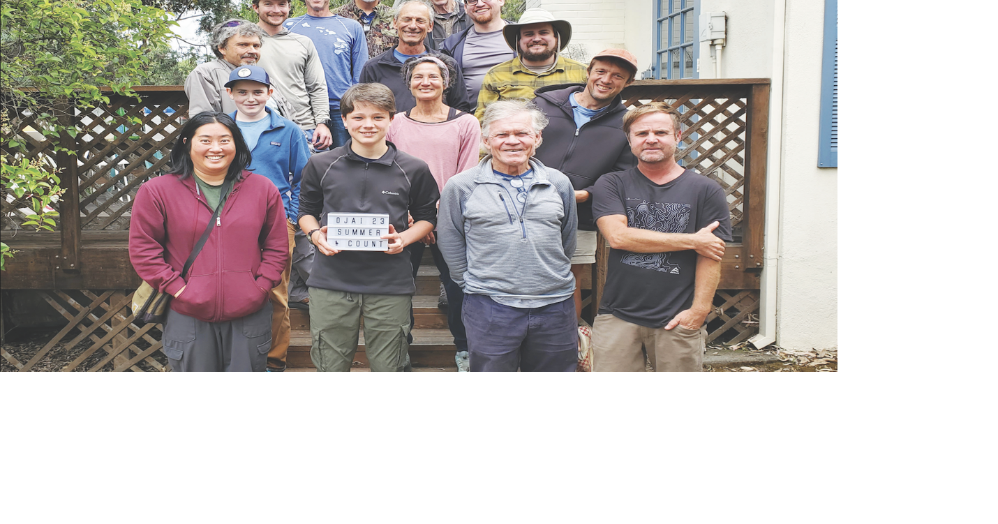 Ojai birders count 118 bird species in 12 hours and 34 minutes ...