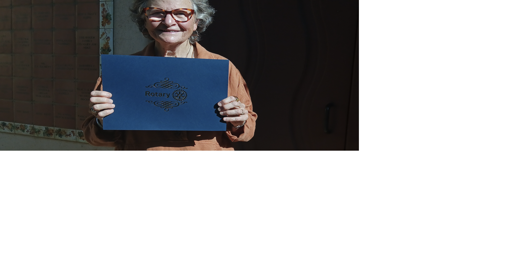 Celeste Matesevac’s life of service is an open book | News ...