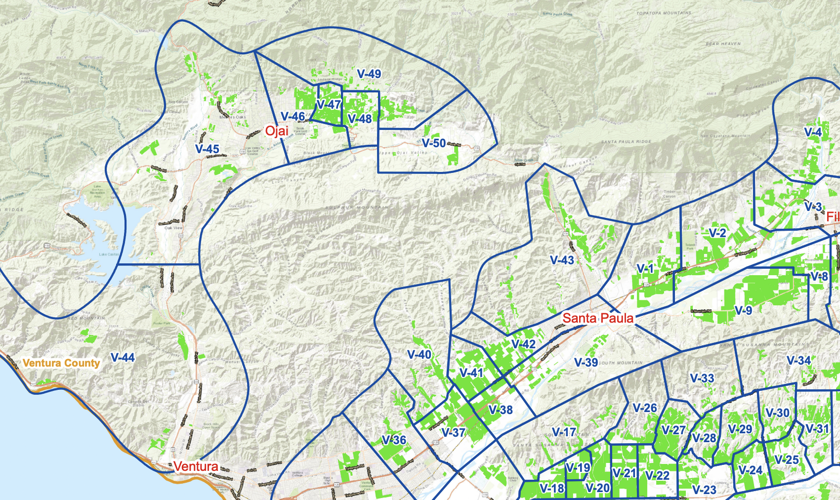 Ojai citrus spraying planned in June | State pest prevention meeting on ...