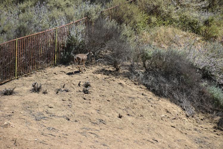 DAY 1: Evacuations issued for Simi Valley, Thousand Oaks amid ...